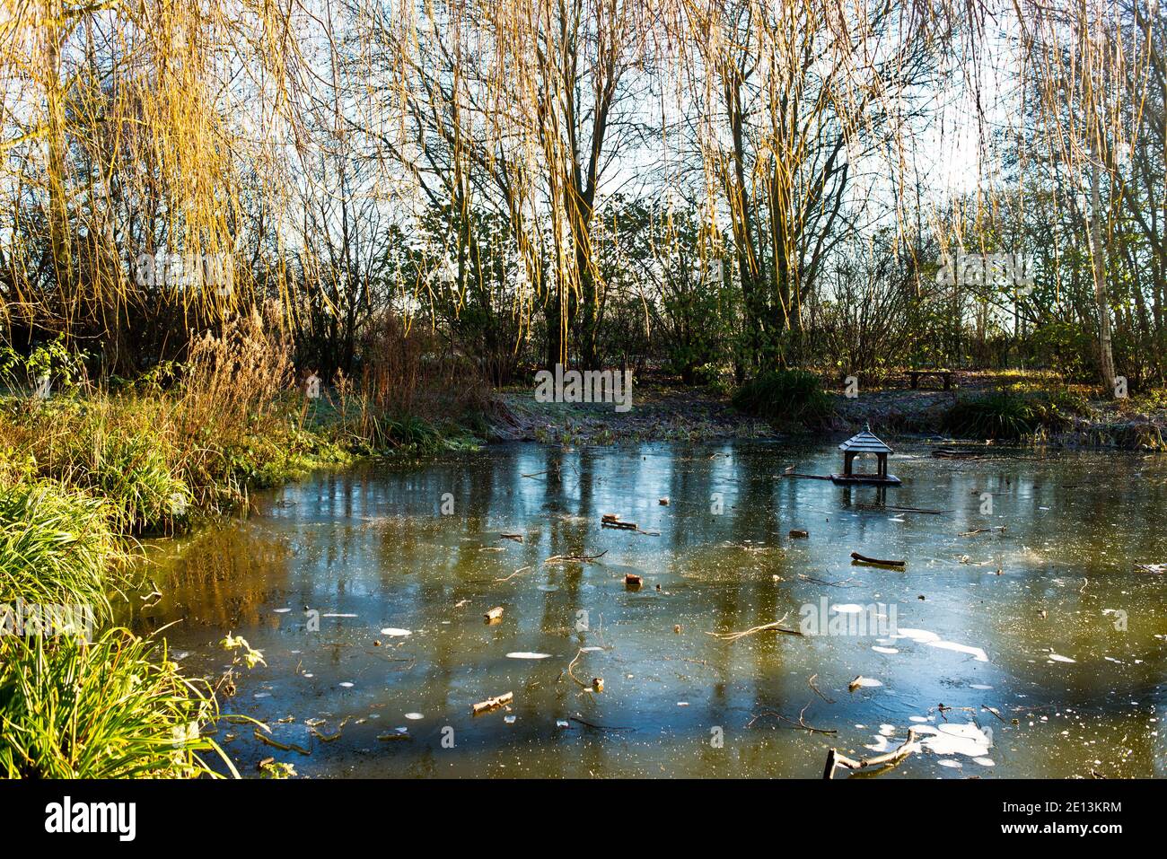 Icy Pond Nether Poppleton, North Yorkshire, England Stock Photo - Alamy