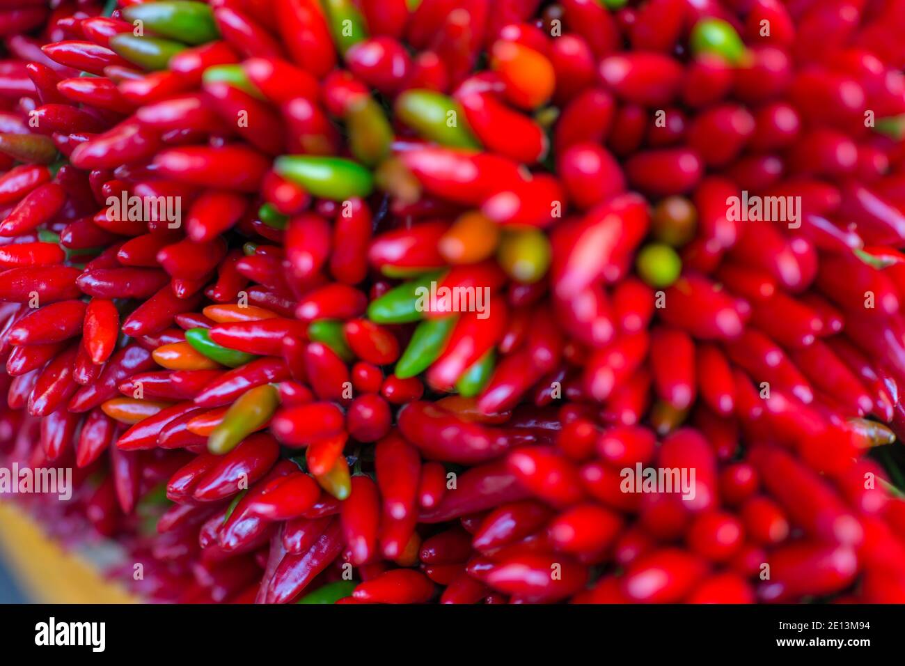 Bird eating chilli pepper hi-res stock photography and images - Alamy