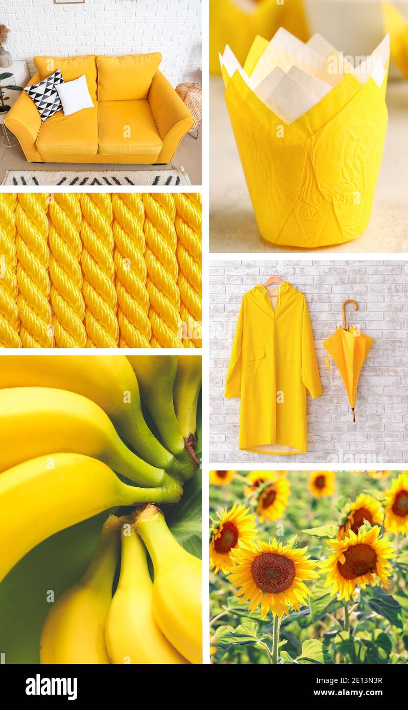 Beautiful collage of bright photos Stock Photo - Alamy