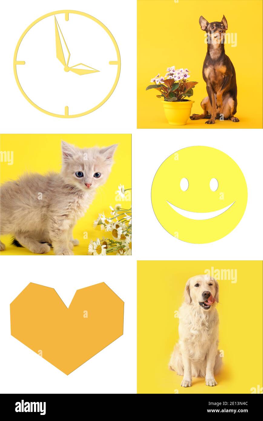 Beautiful collage of bright photos Stock Photo - Alamy