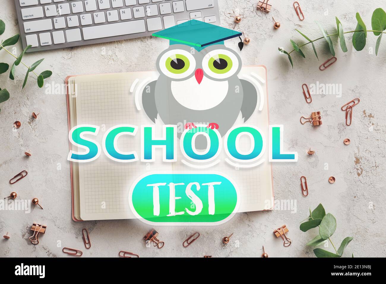 Drawn owl with text "School test", notebook and computer keyboard on ...