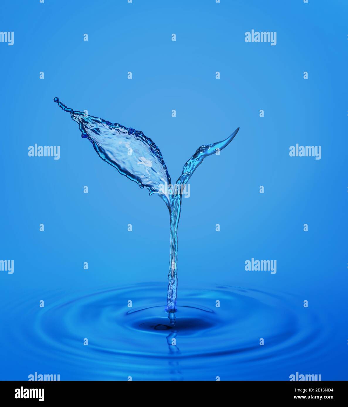 Beautiful sprout made of water. Zen concept Stock Photo - Alamy