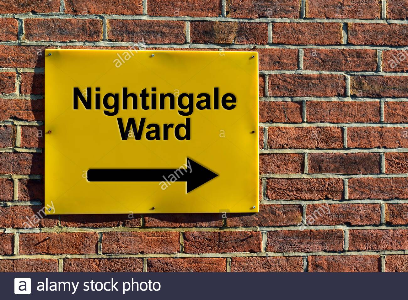 Nightingale Uk High Resolution Stock Photography and Images - Alamy