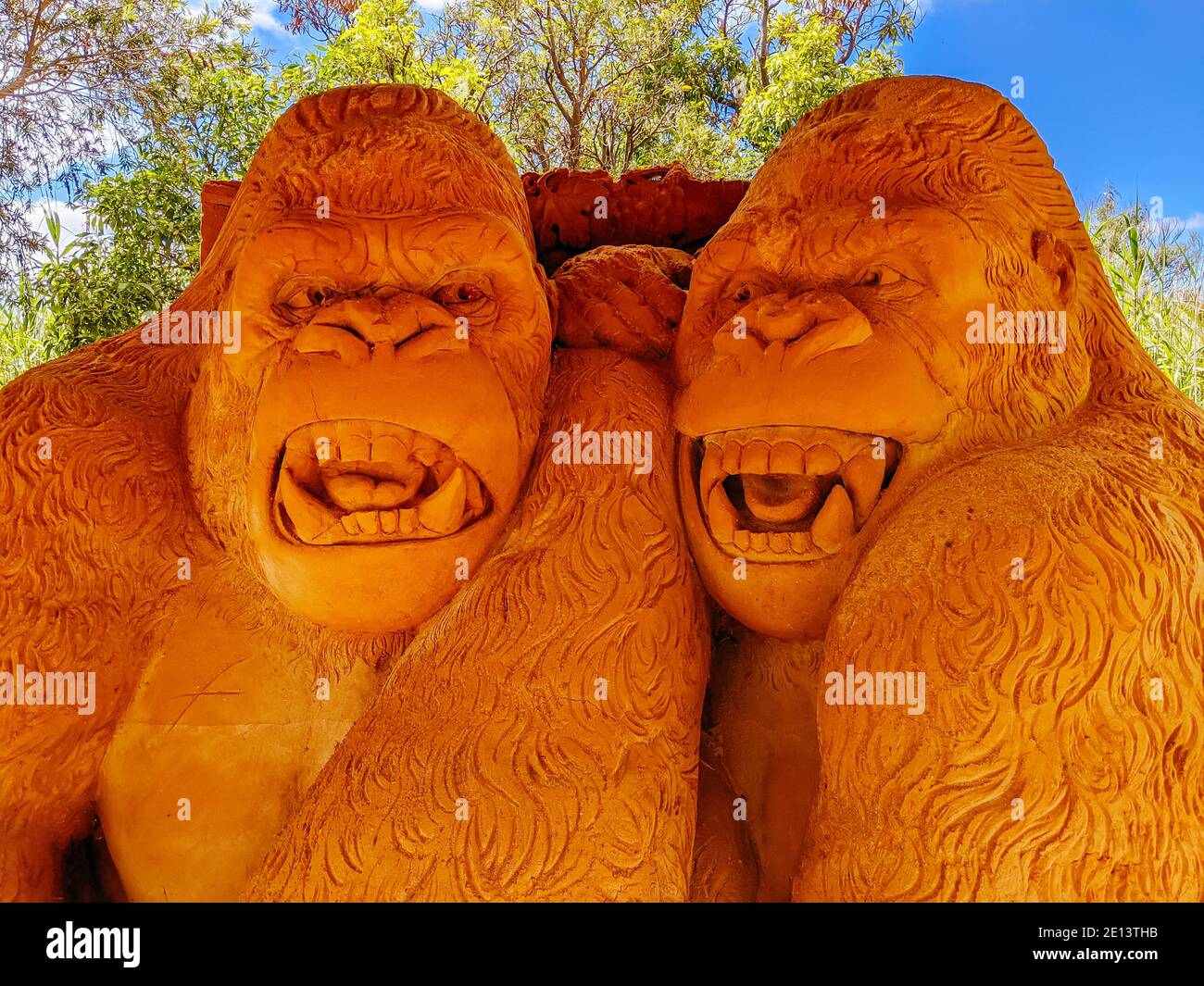 Boneo Discovery Park Australia Stock Photo - Alamy