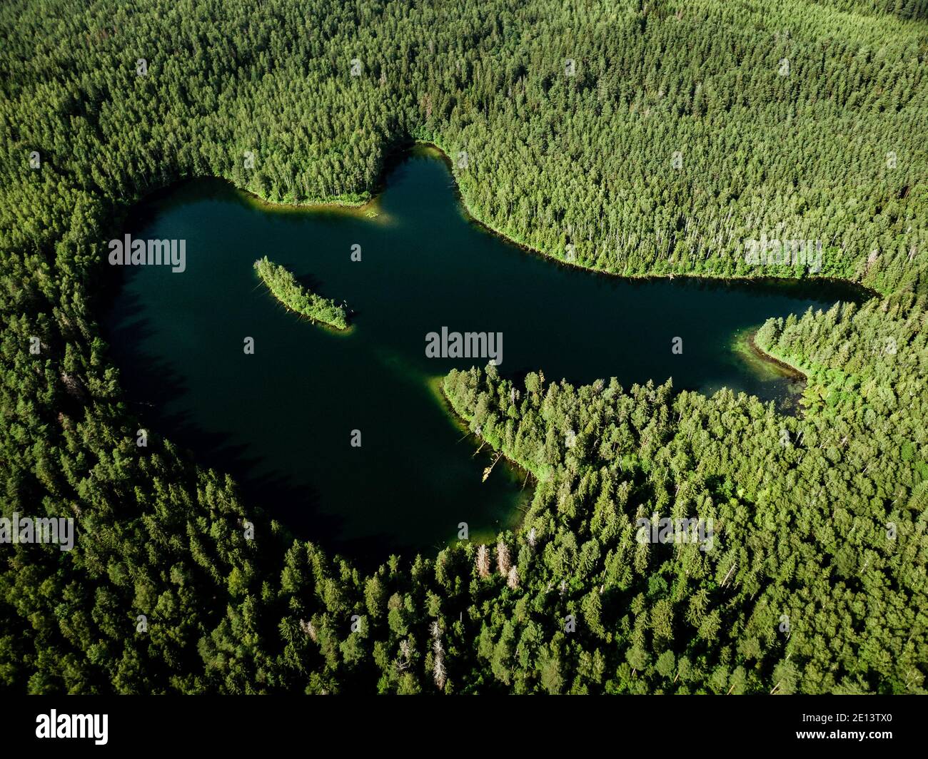 Top view of a forest lake Stock Photo - Alamy