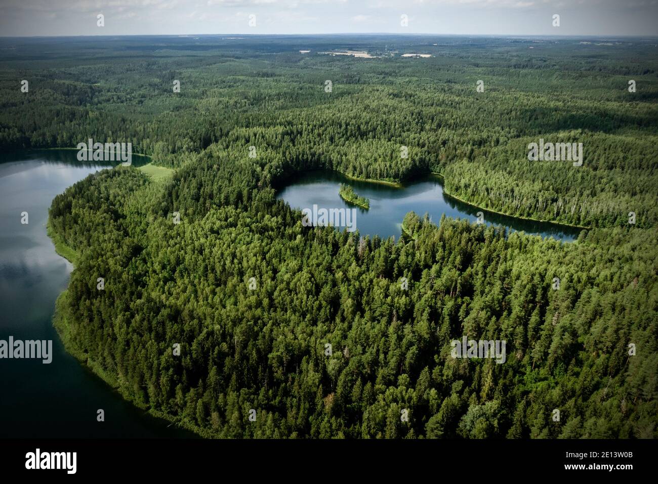 Top view of a forest lake Stock Photo - Alamy