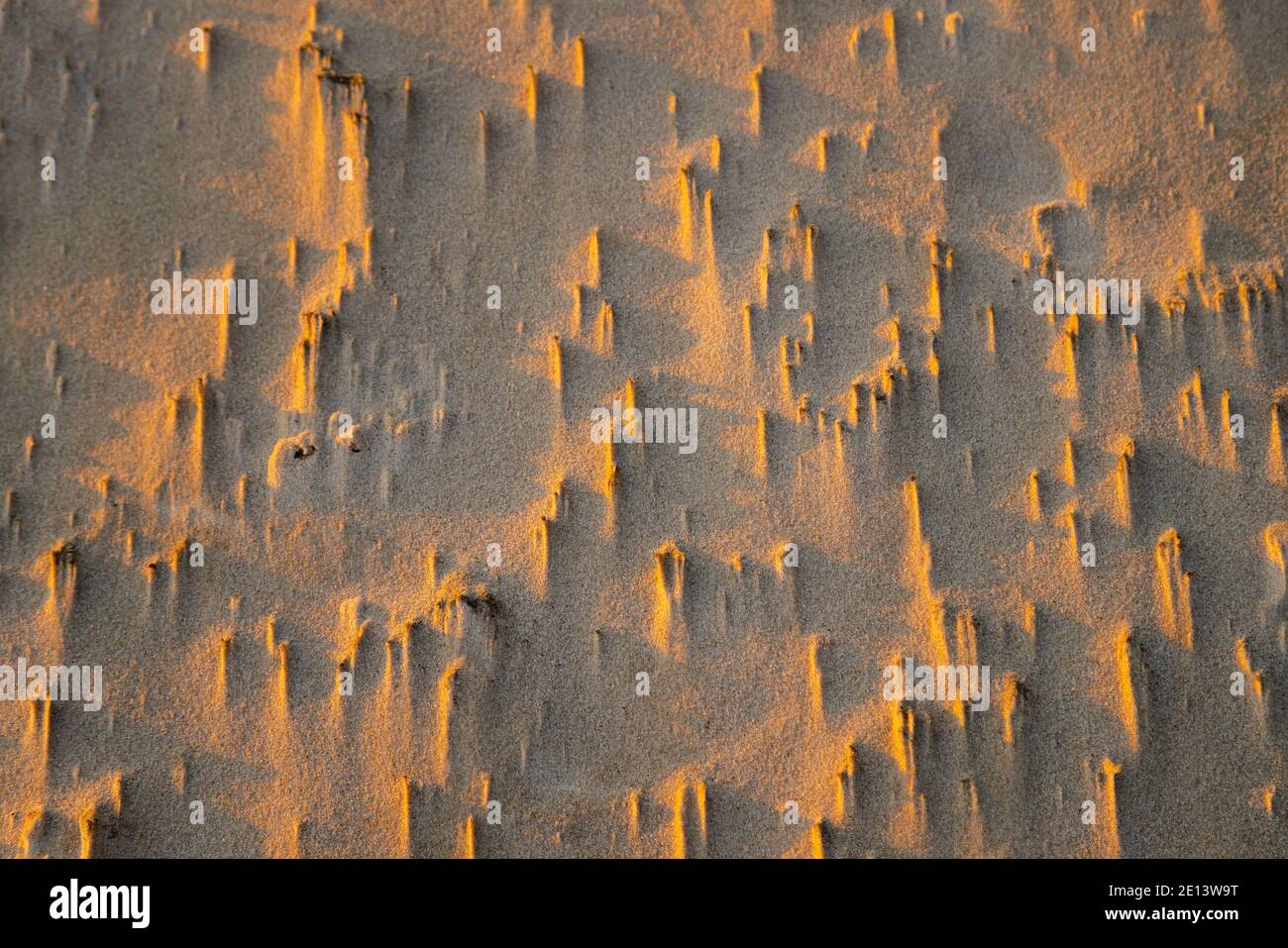 Abstract view of natural sand dune formation at the beach. Curly sand ...