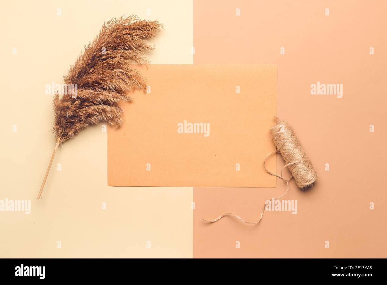 Blank paper sheet pampas hi-res stock photography and images - Alamy
