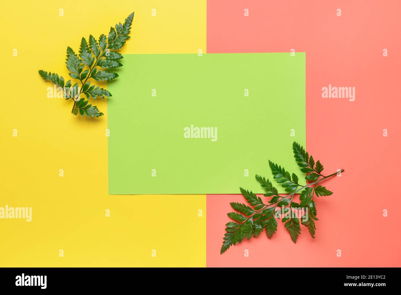 Blank paper sheet and green leaves on color background Stock Photo - Alamy