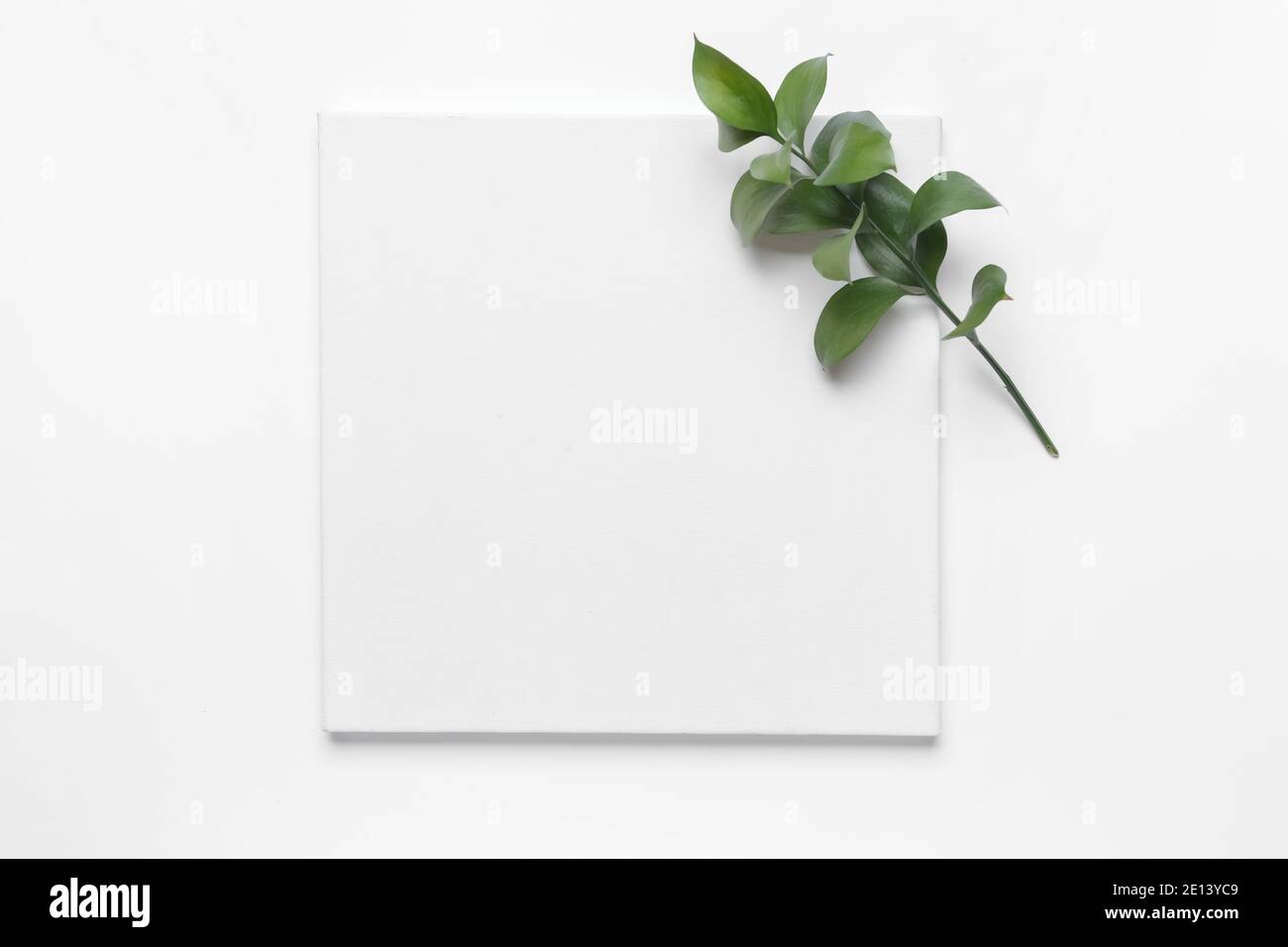 Blank paper sheet and green leaves on white background Stock Photo - Alamy