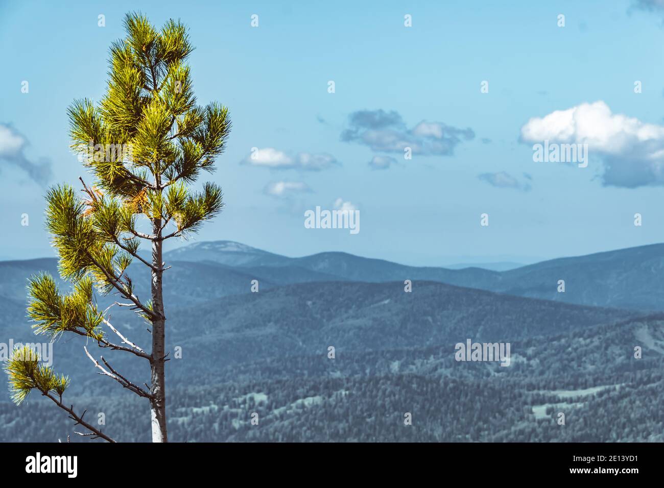 On the edge of rocky slope hi-res stock photography and images - Alamy
