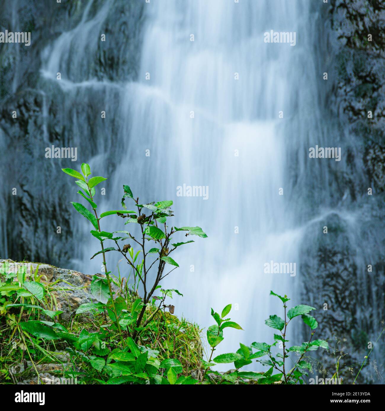 Waterfall with grass hi-res stock photography and images - Alamy