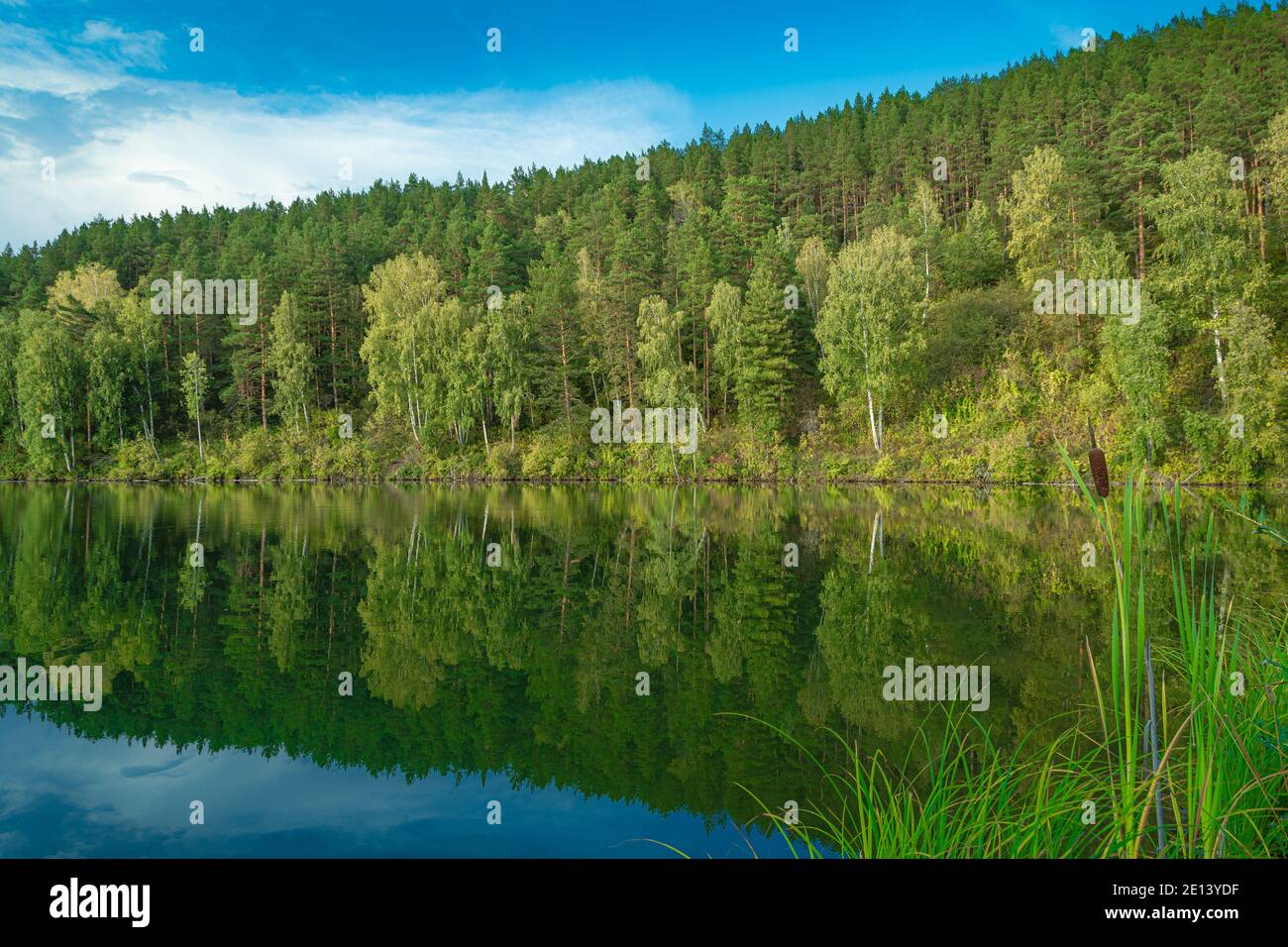 Reflection of trees in mirror of lake Stock Photo - Alamy