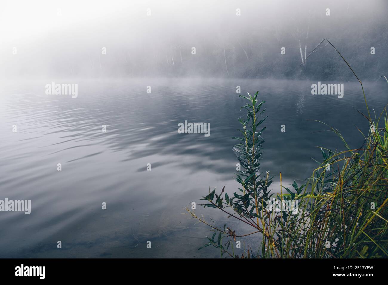 Fog over mirror surface lake hi-res stock photography and images - Alamy