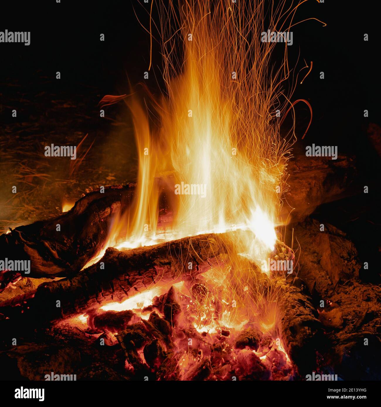 Wood is burning in fire. Fire for bushcraft and tourism at night gives ...