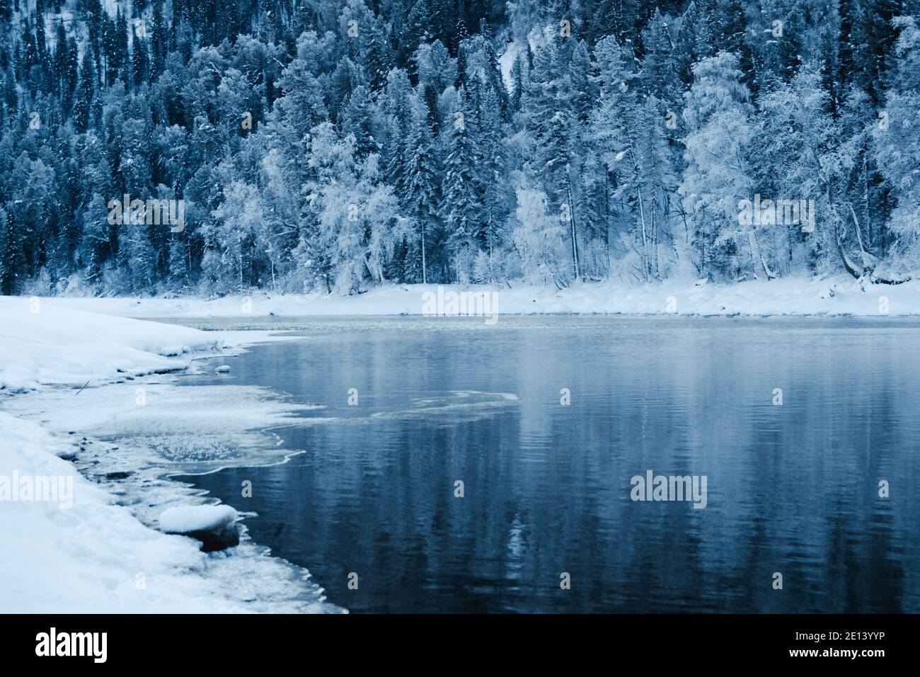 Icy forest photography hi-res stock photography and images - Alamy