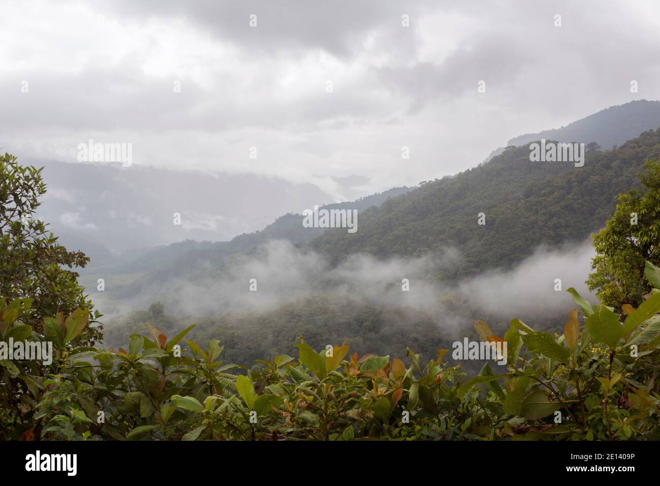 Misty mountain slopes in the Rio Quijos Valley, the Ecuadorian Amazon ...