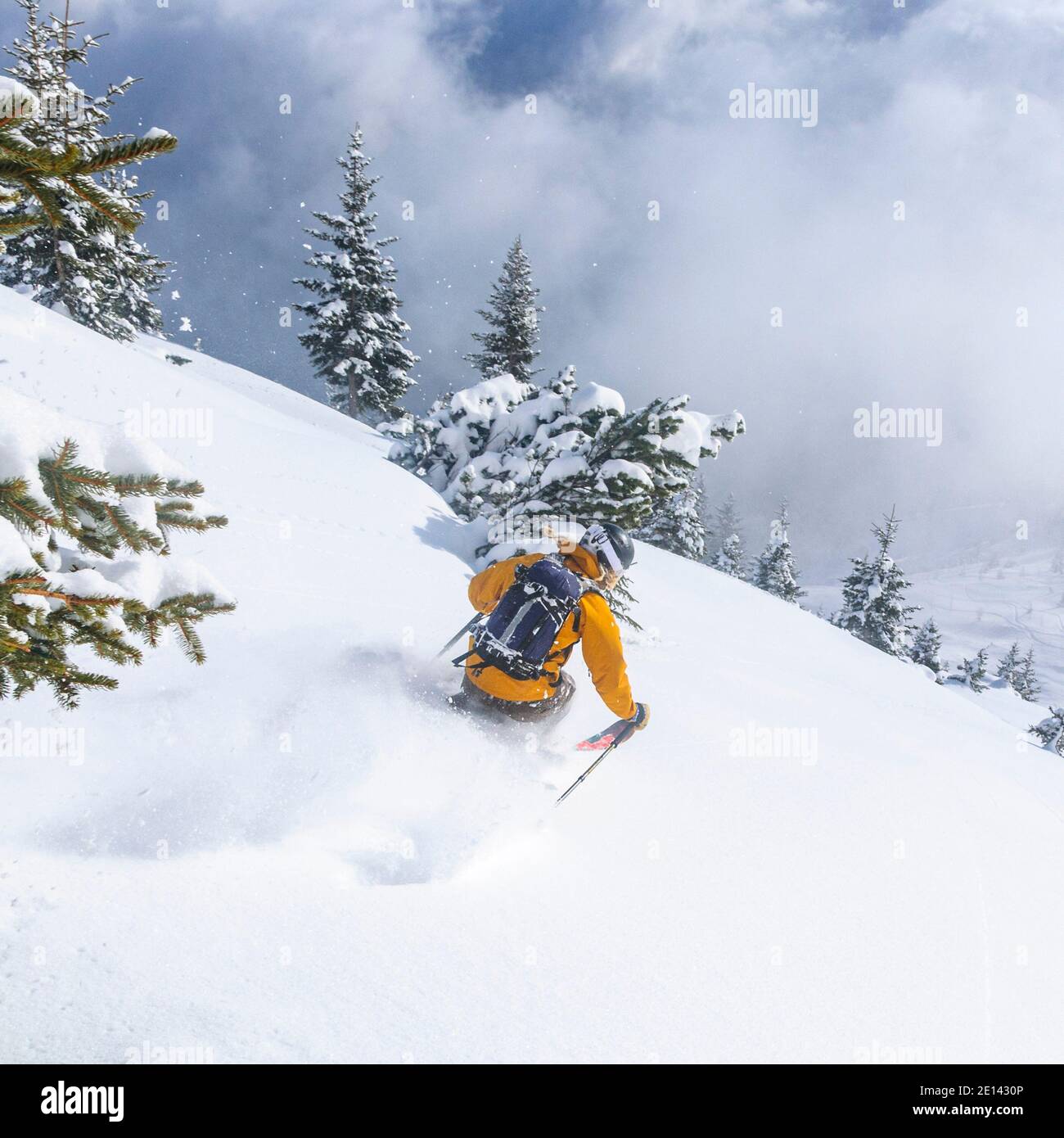 Skiing between trees in backcountry area Stock Photo - Alamy