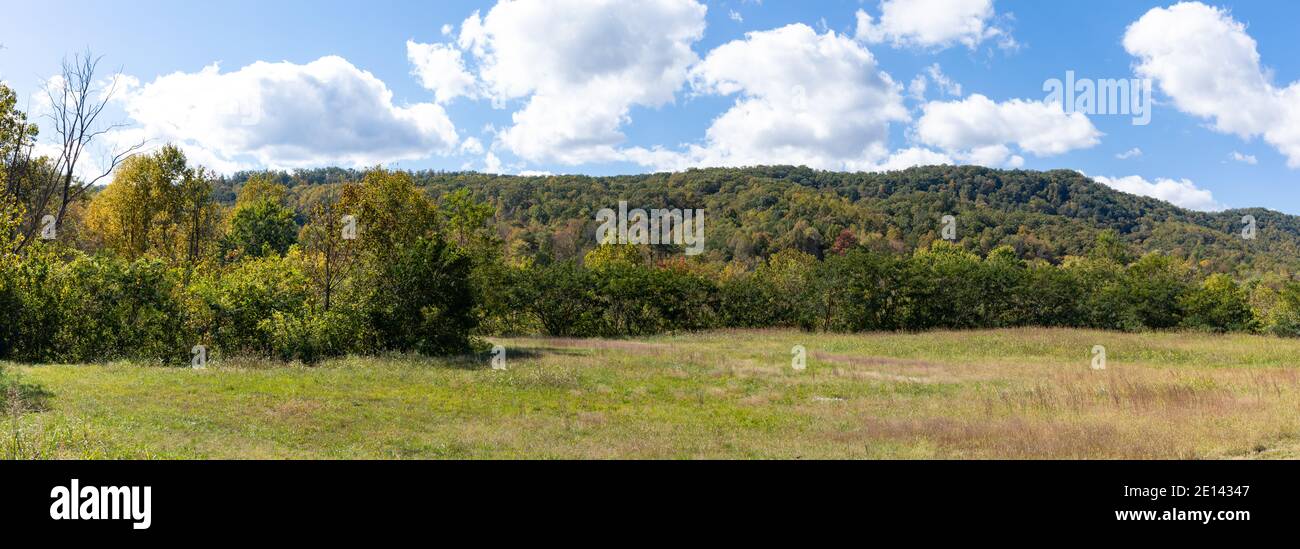 Panoramic view of a low mountain landscape, green field with trees ...
