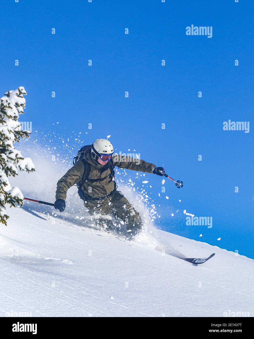 Skiing between trees in backcountry area Stock Photo - Alamy