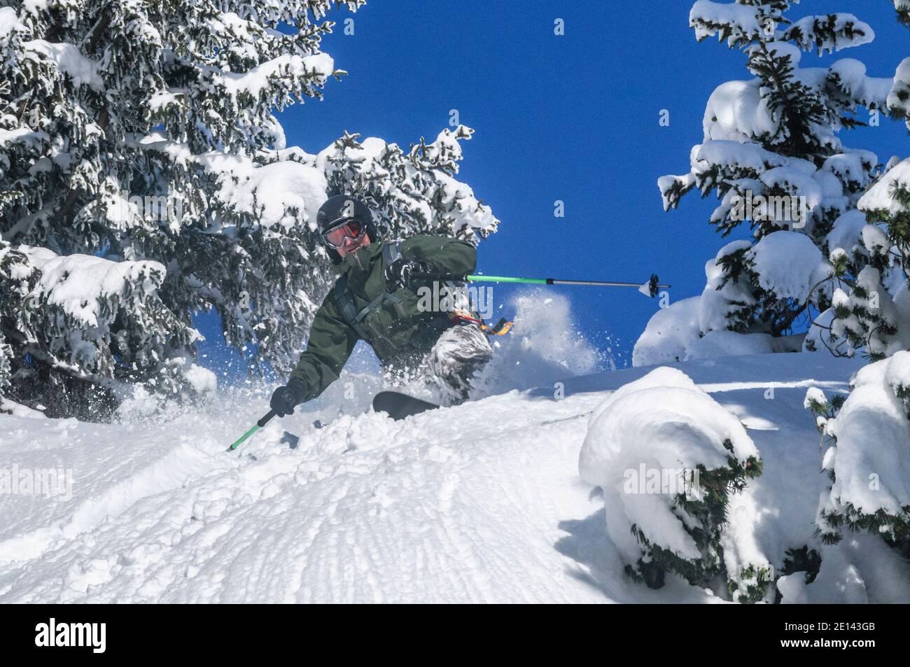 Skiing between trees in backcountry area Stock Photo - Alamy