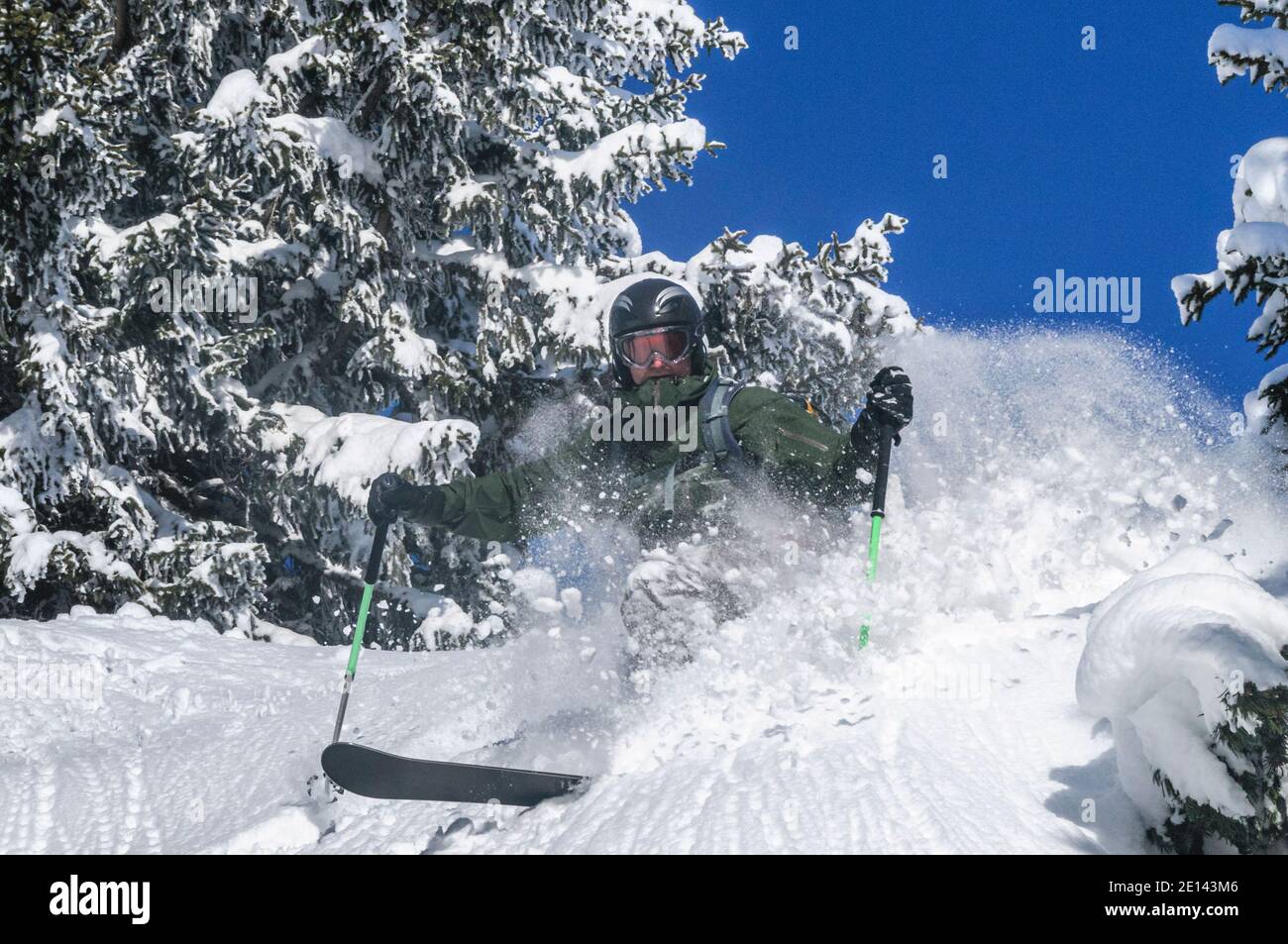 Skiing between trees in backcountry area Stock Photo - Alamy
