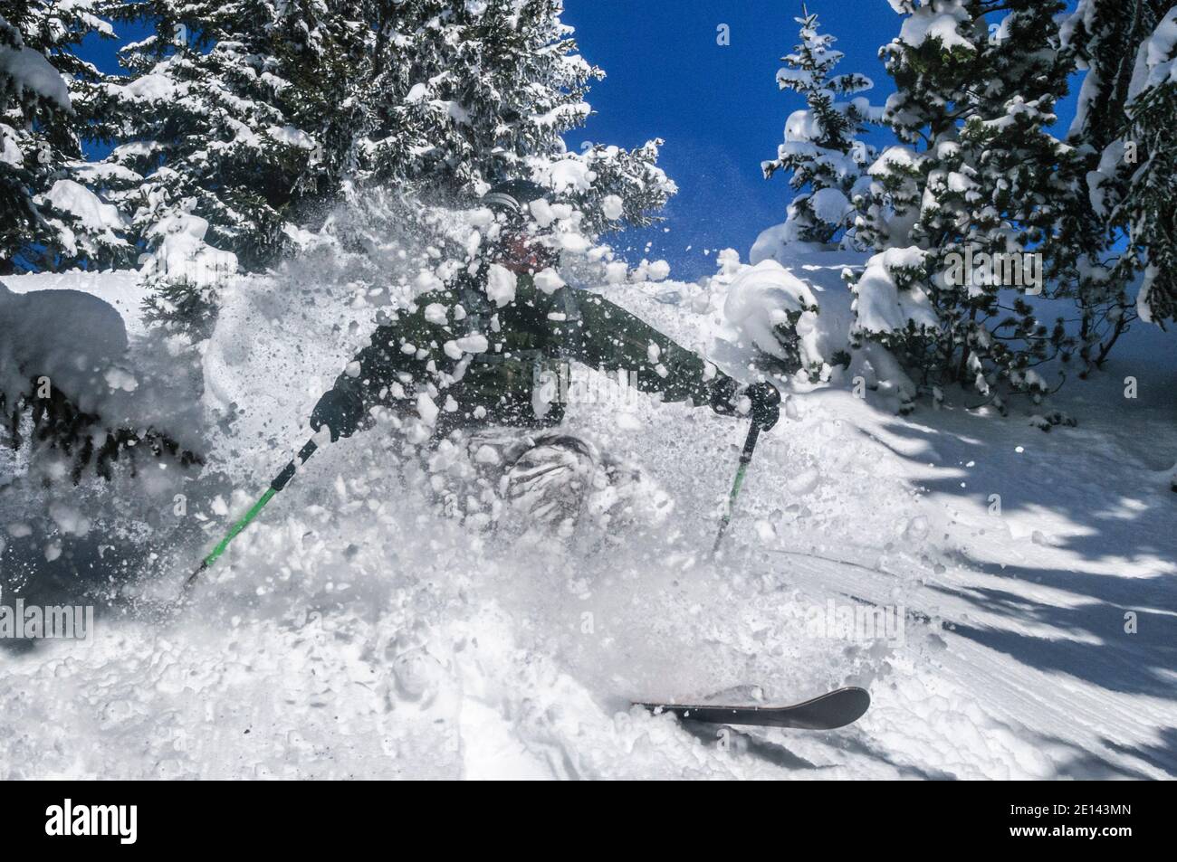 Skiing between trees in backcountry area Stock Photo - Alamy