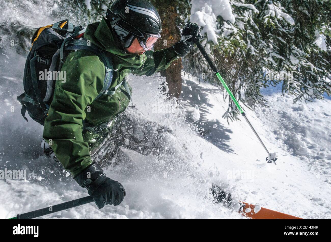 Skiing between trees in backcountry area Stock Photo - Alamy