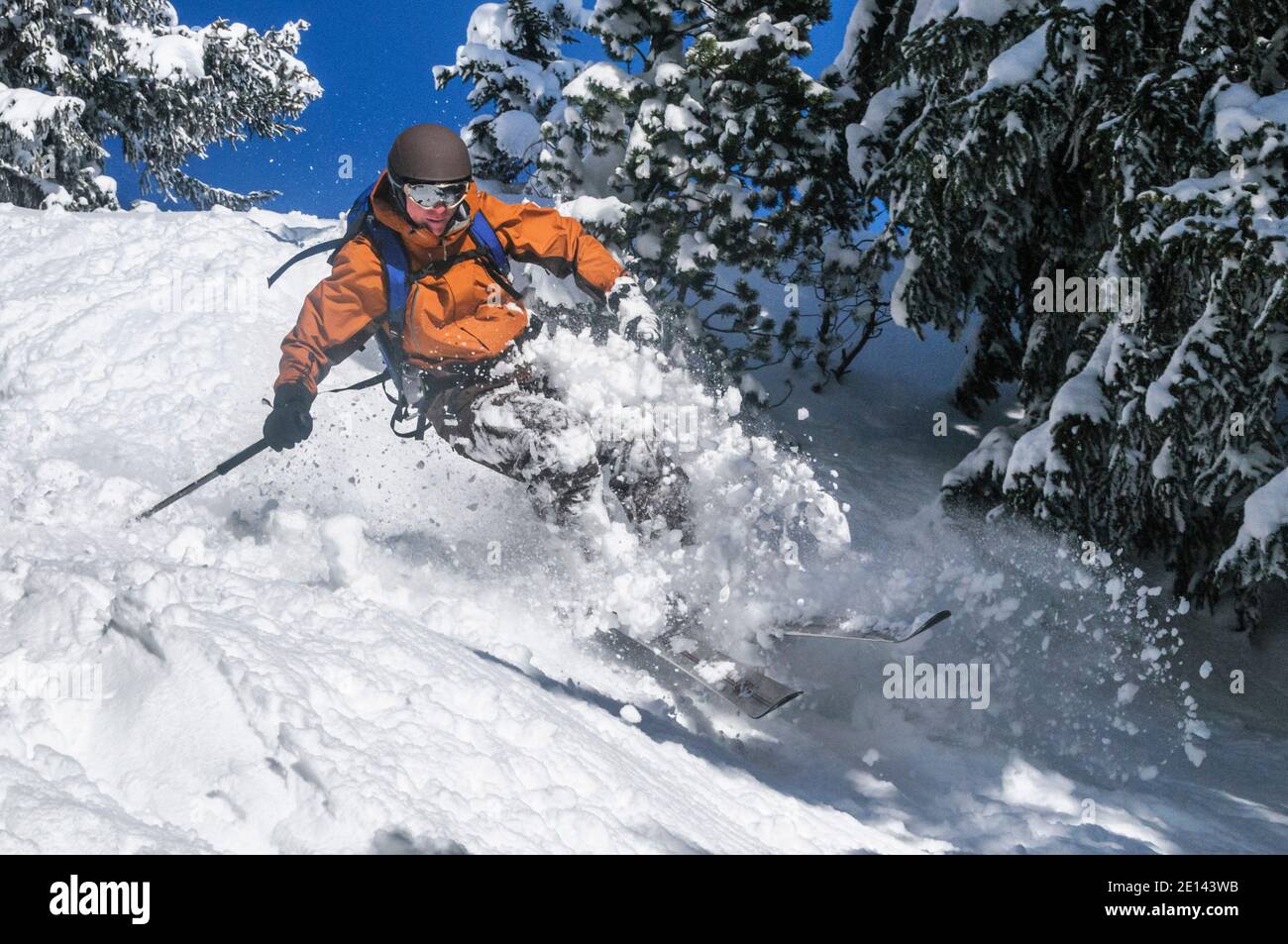 Skiing between trees in backcountry area Stock Photo - Alamy