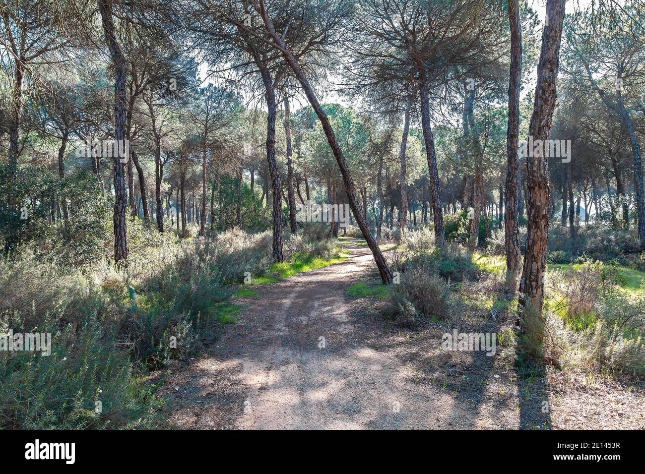 Nice place to walk hi-res stock photography and images - Alamy