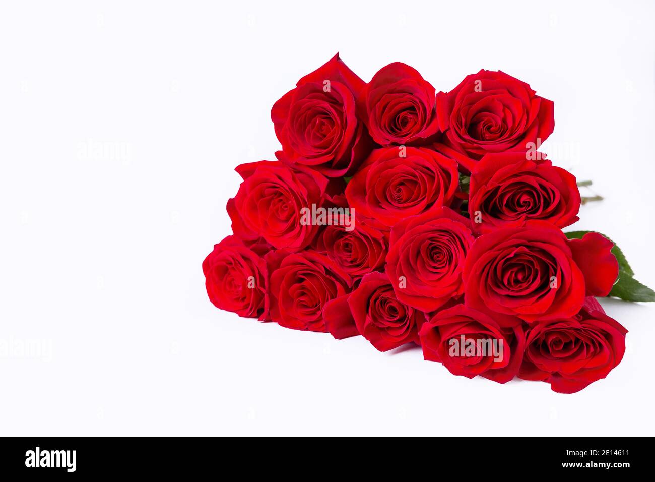 Bouquet of red (burgundy) roses on a white background. Place for text ...