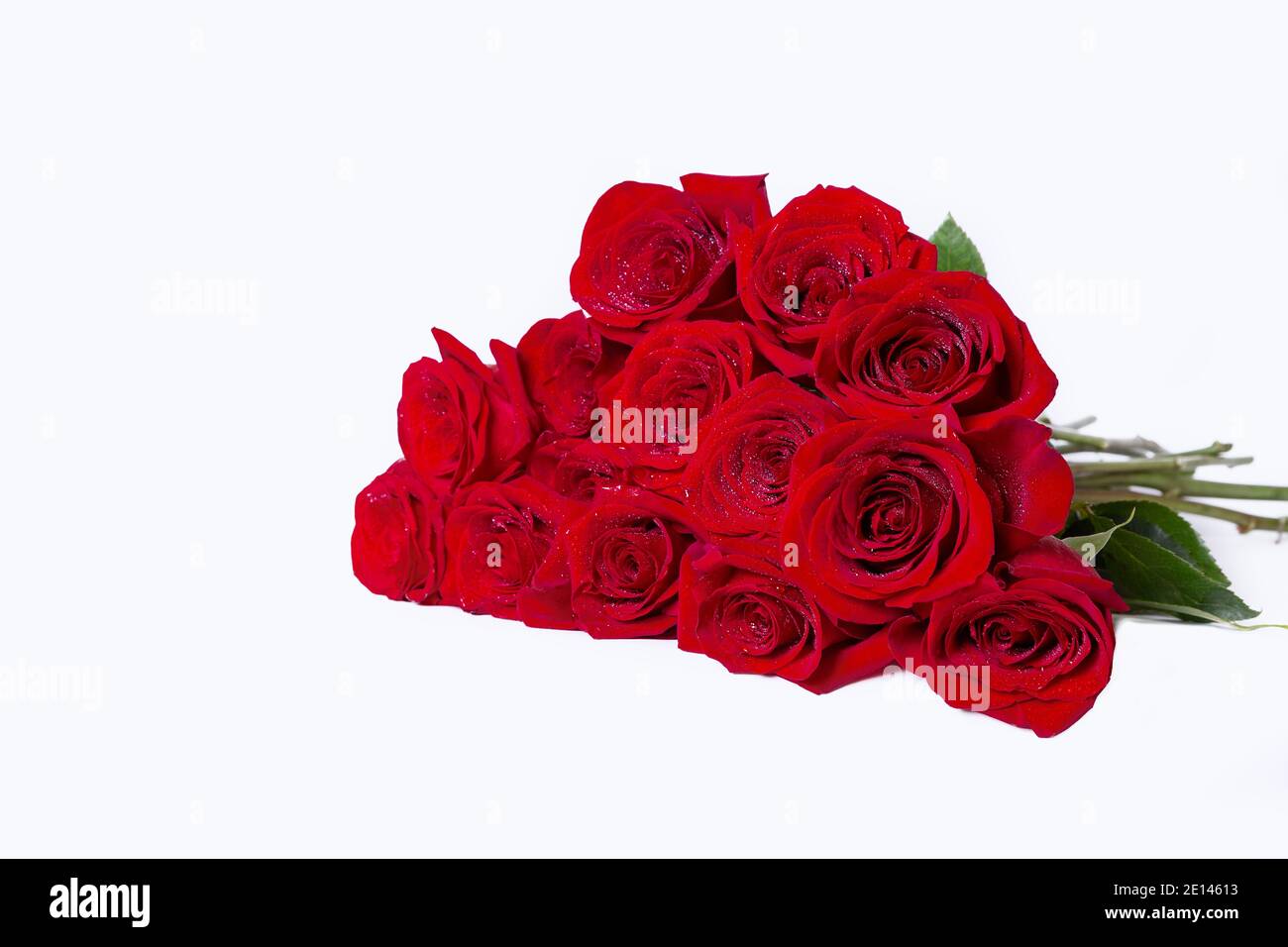 Bouquet of red (burgundy) roses on a white background. Water drops ...