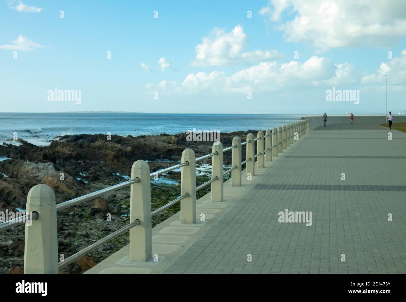 Blue point spring hi-res stock photography and images - Alamy