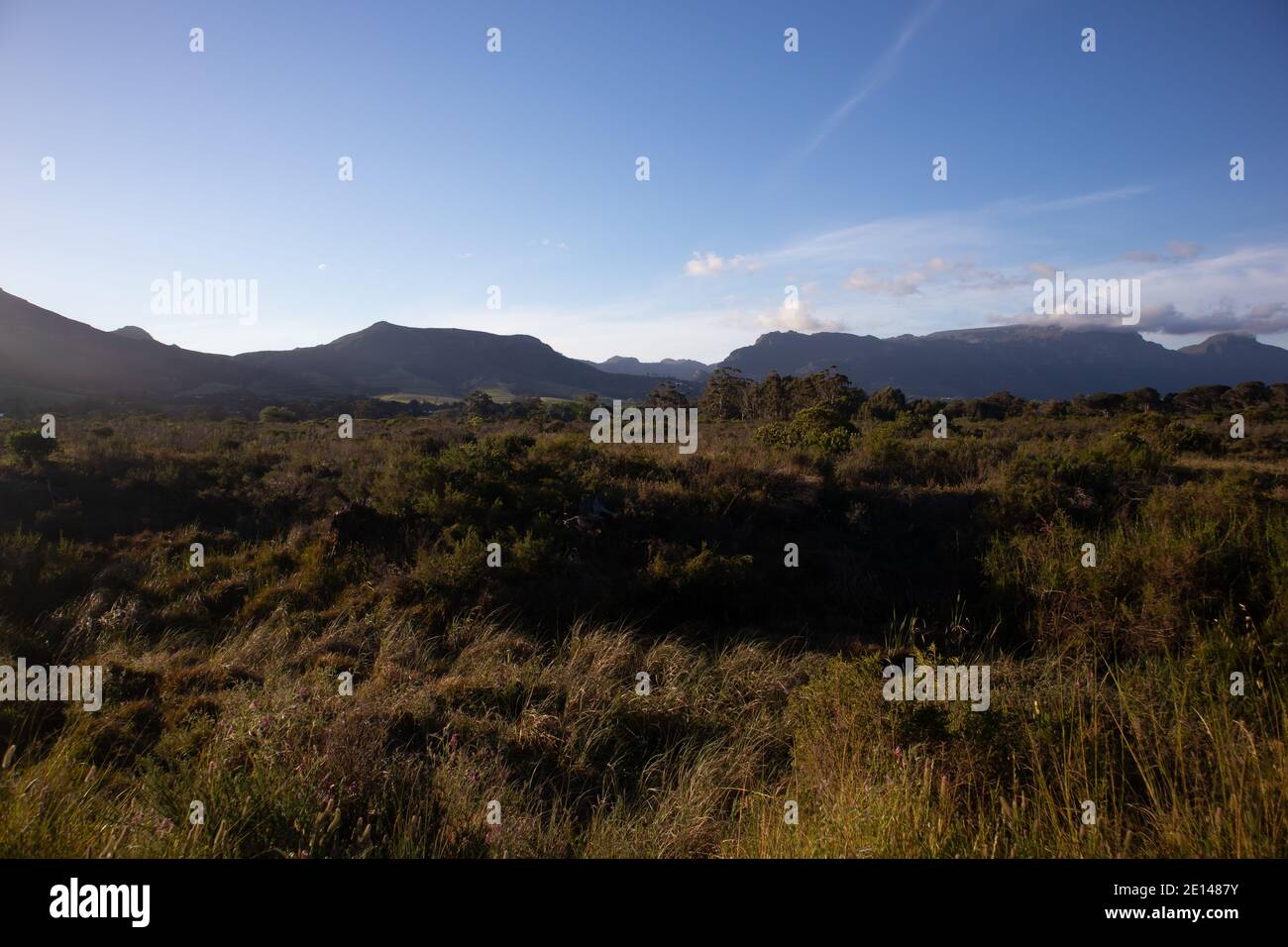 2020 landscape hi-res stock photography and images - Alamy