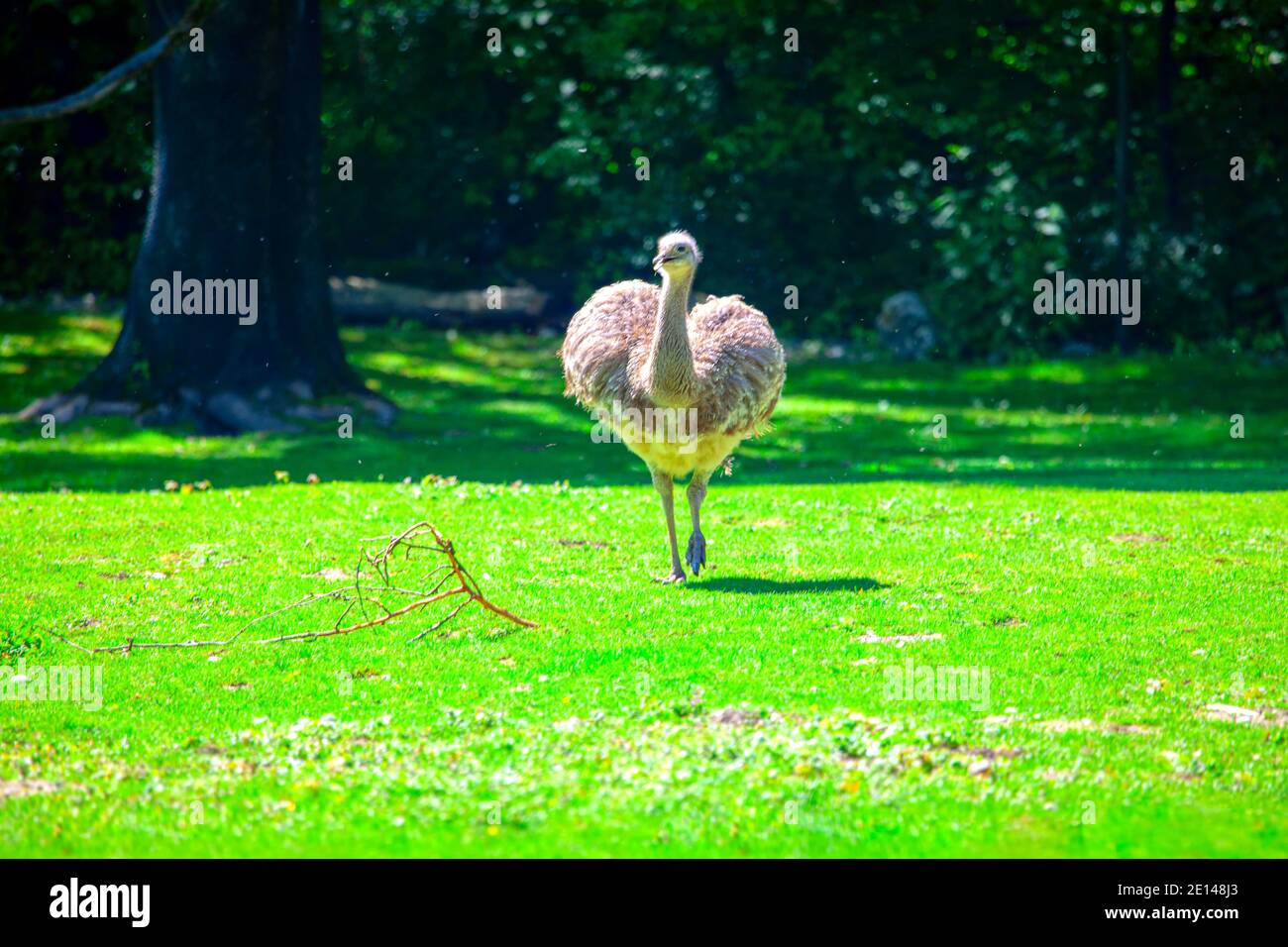 Giant aviary hi-res stock photography and images - Alamy