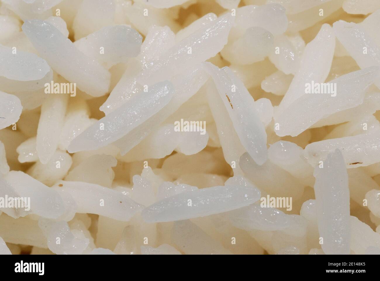 big close-up macro view of white rice Stock Photo - Alamy