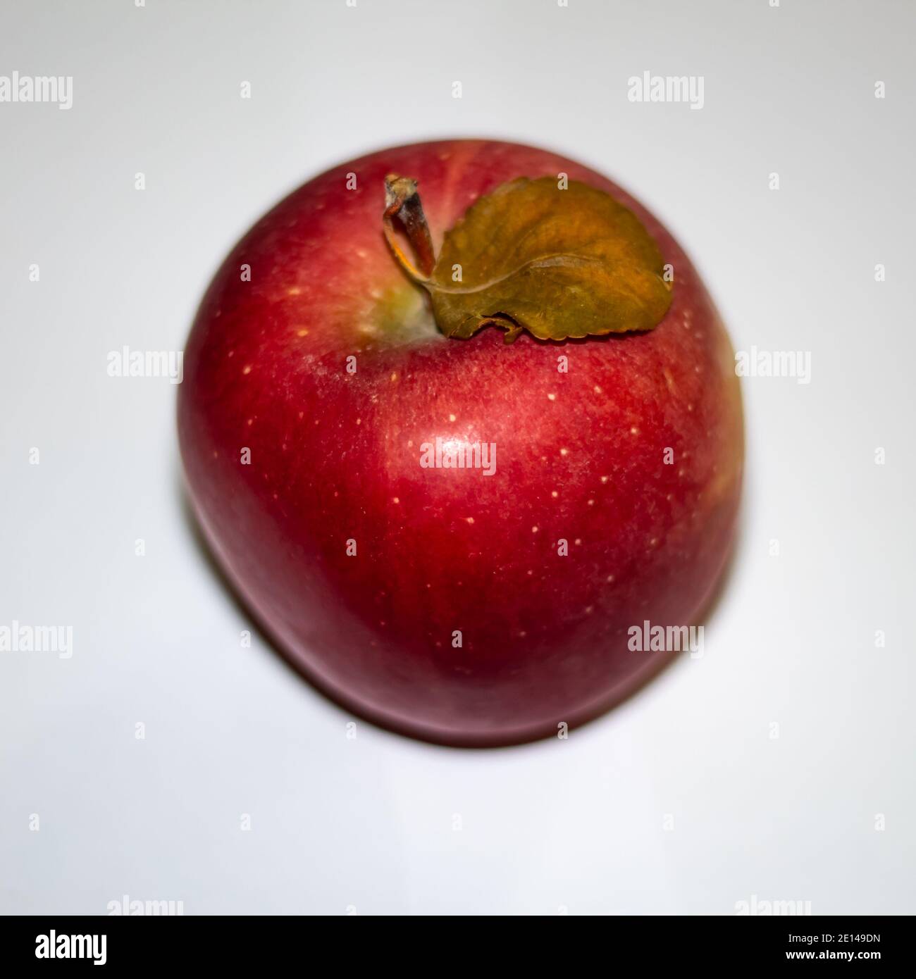 A Single Apple With Withered Leaf Stock Photo - Alamy