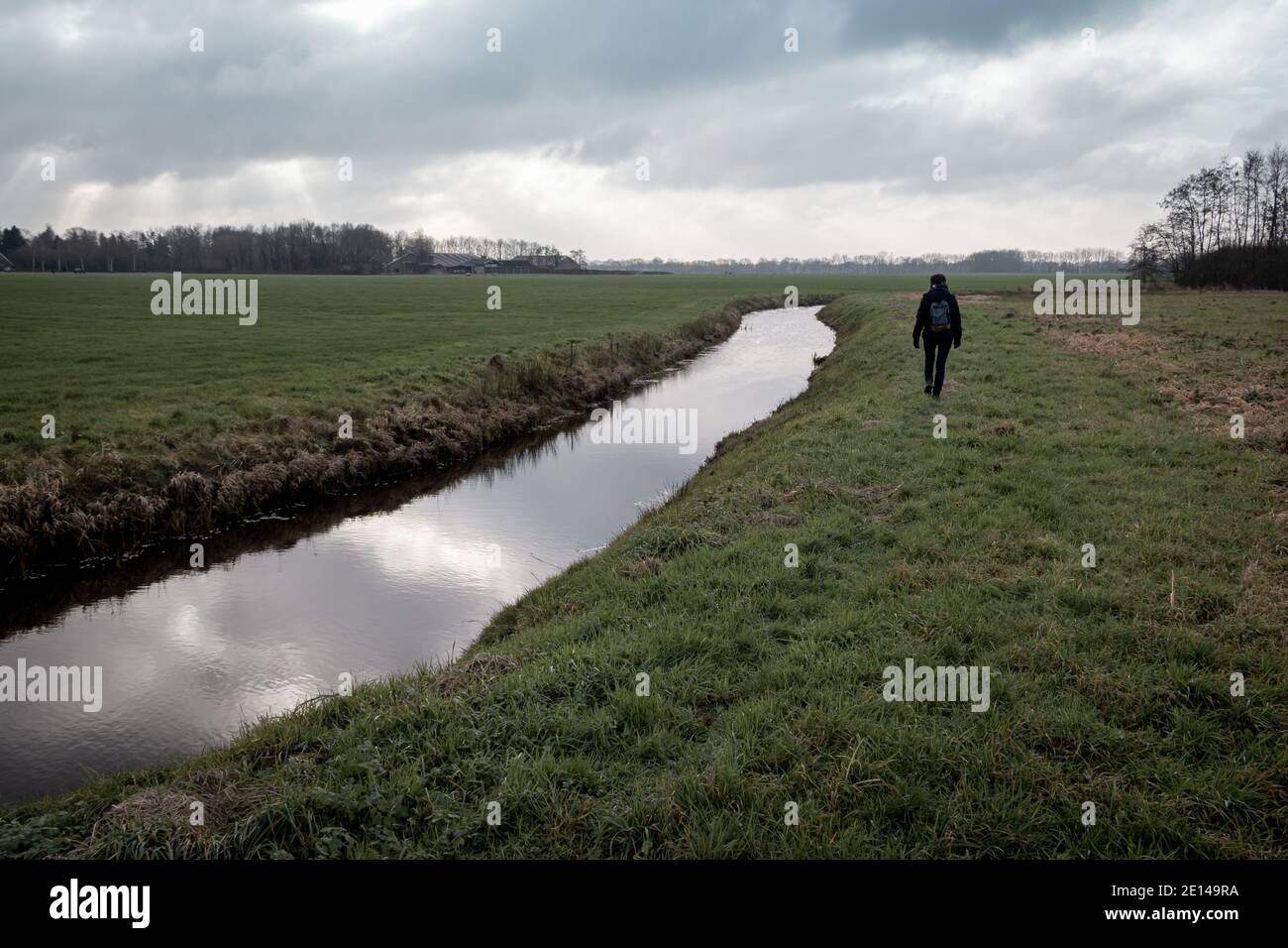 Lonely hiker in a wintry Dutch landscape with grasslands, ditches and ...