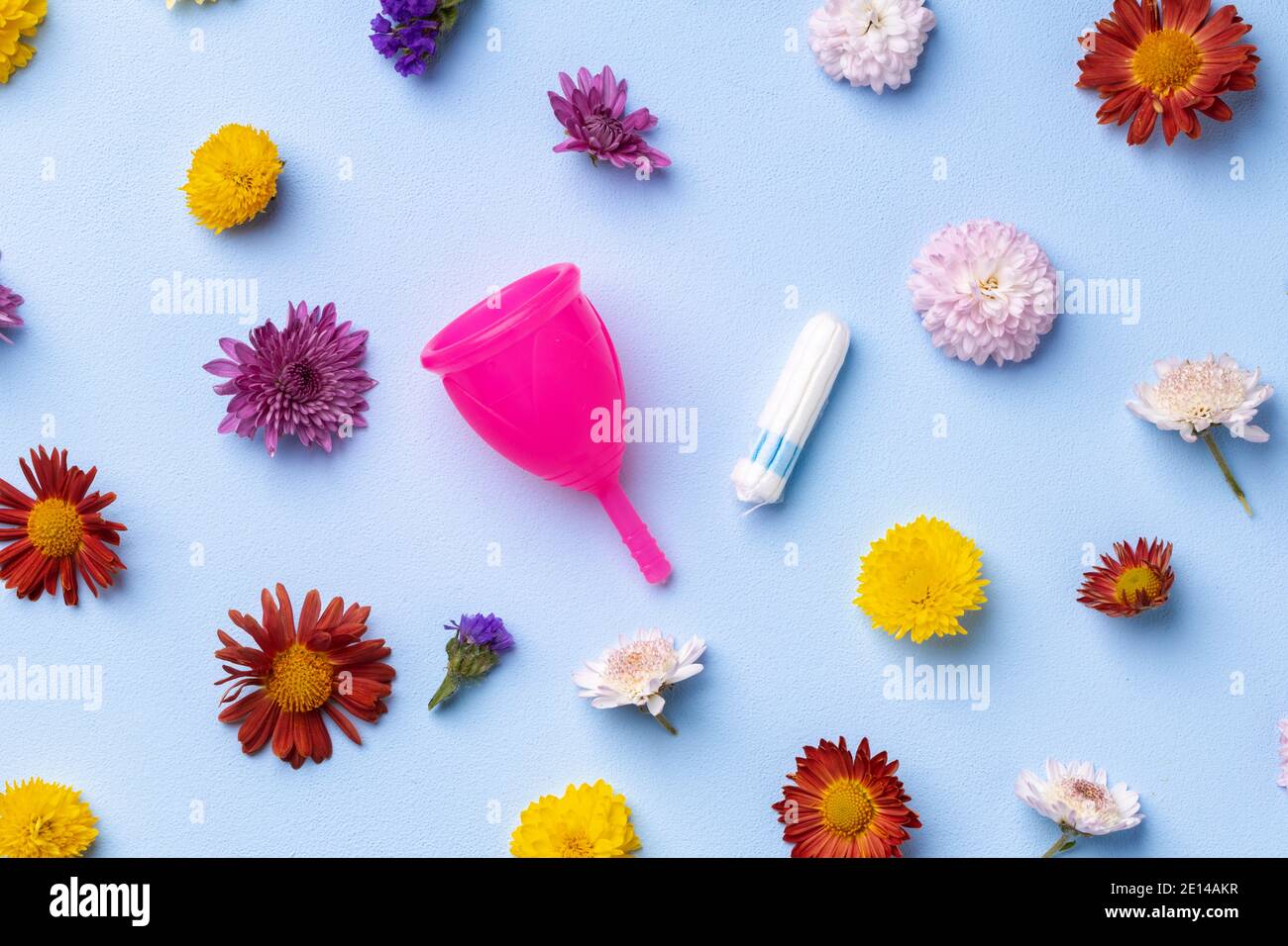 Menstrual cup tampon on hi-res stock photography and images - Alamy