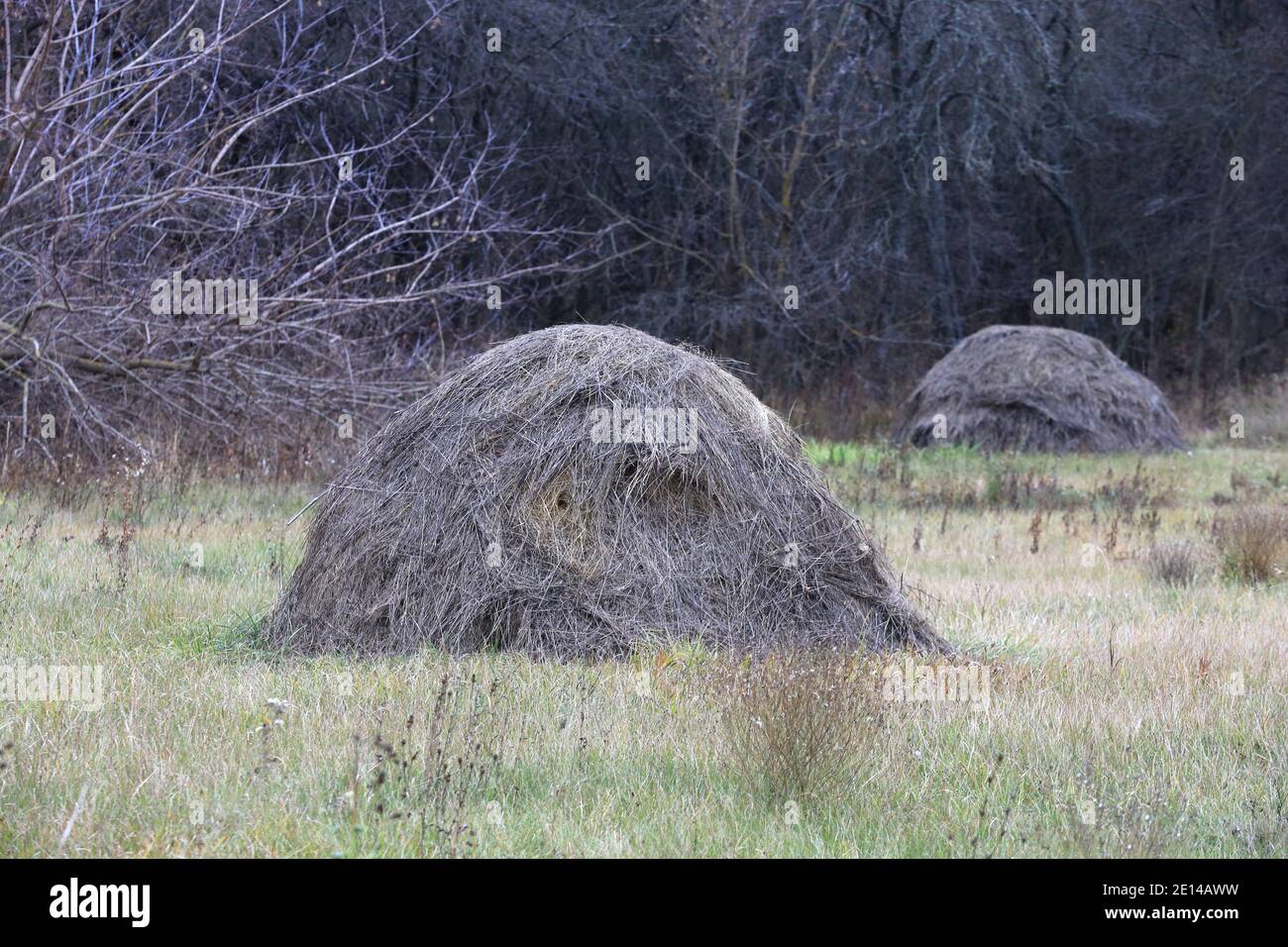 Dry haystack hi-res stock photography and images - Alamy