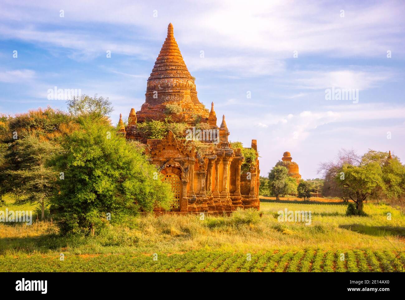 Sacred stupa in Bagan historical park , part of the ancient kingdom ...