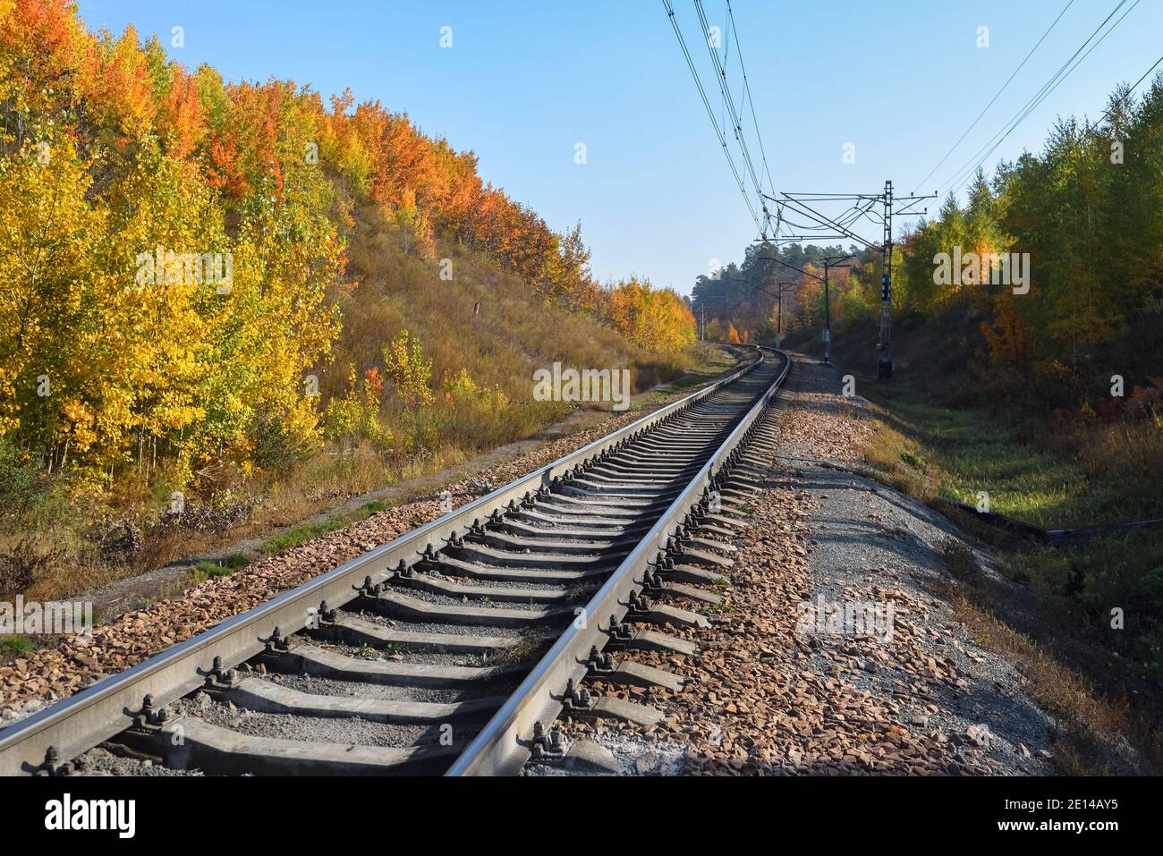 The railway passes through a beautiful autumn forest with colorful ...