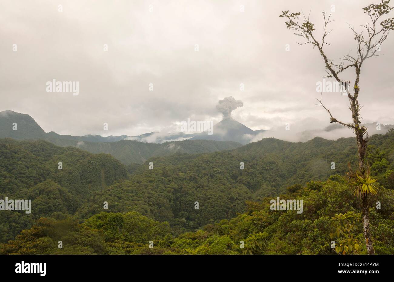 Reventador Volcano erupting, November 2015. The mountain is situated in ...