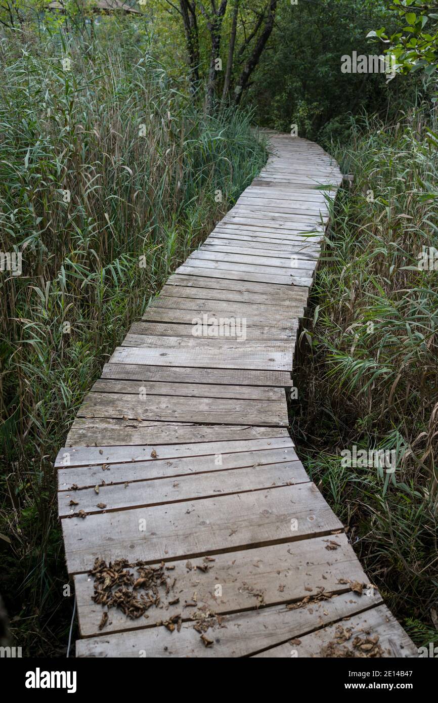 Walk way boardwalk path nature hi-res stock photography and images - Alamy