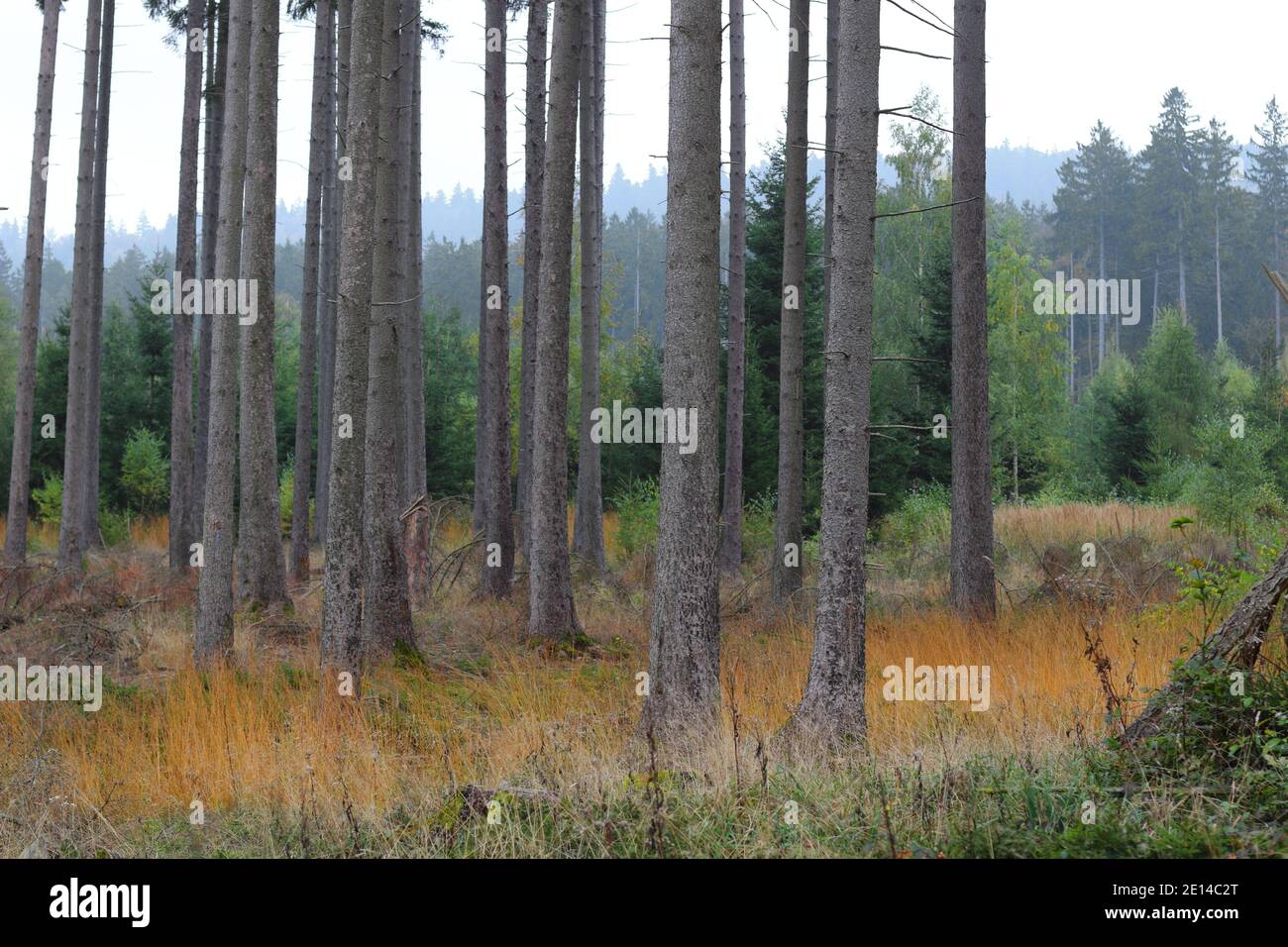 Eco fear hi-res stock photography and images - Alamy