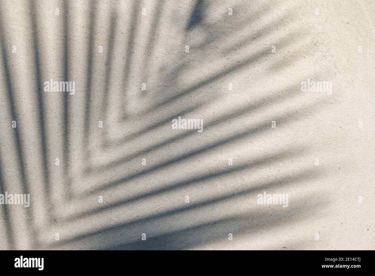 abstract background texture of shadows leaf on a concrete wall Stock ...