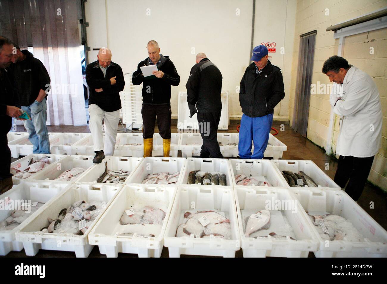 Scarborough Fish Market, North Yorkshire Stock Photo - Alamy