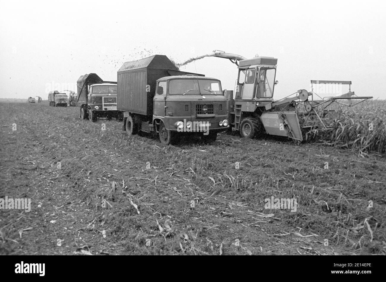 Lpg plant production Black and White Stock Photos & Images - Alamy