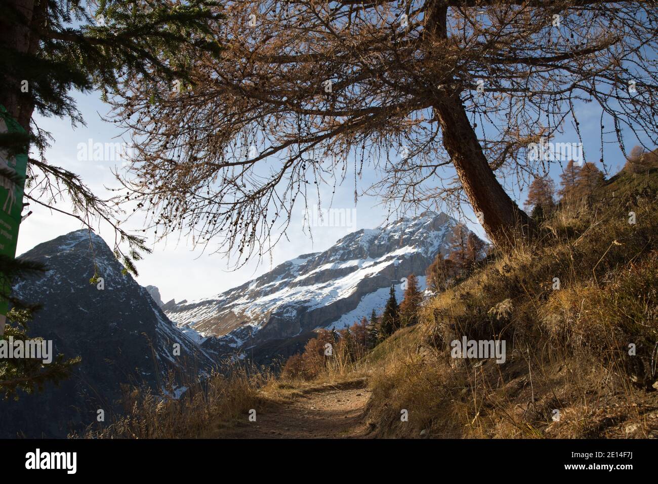 Swiss view hi-res stock photography and images - Alamy