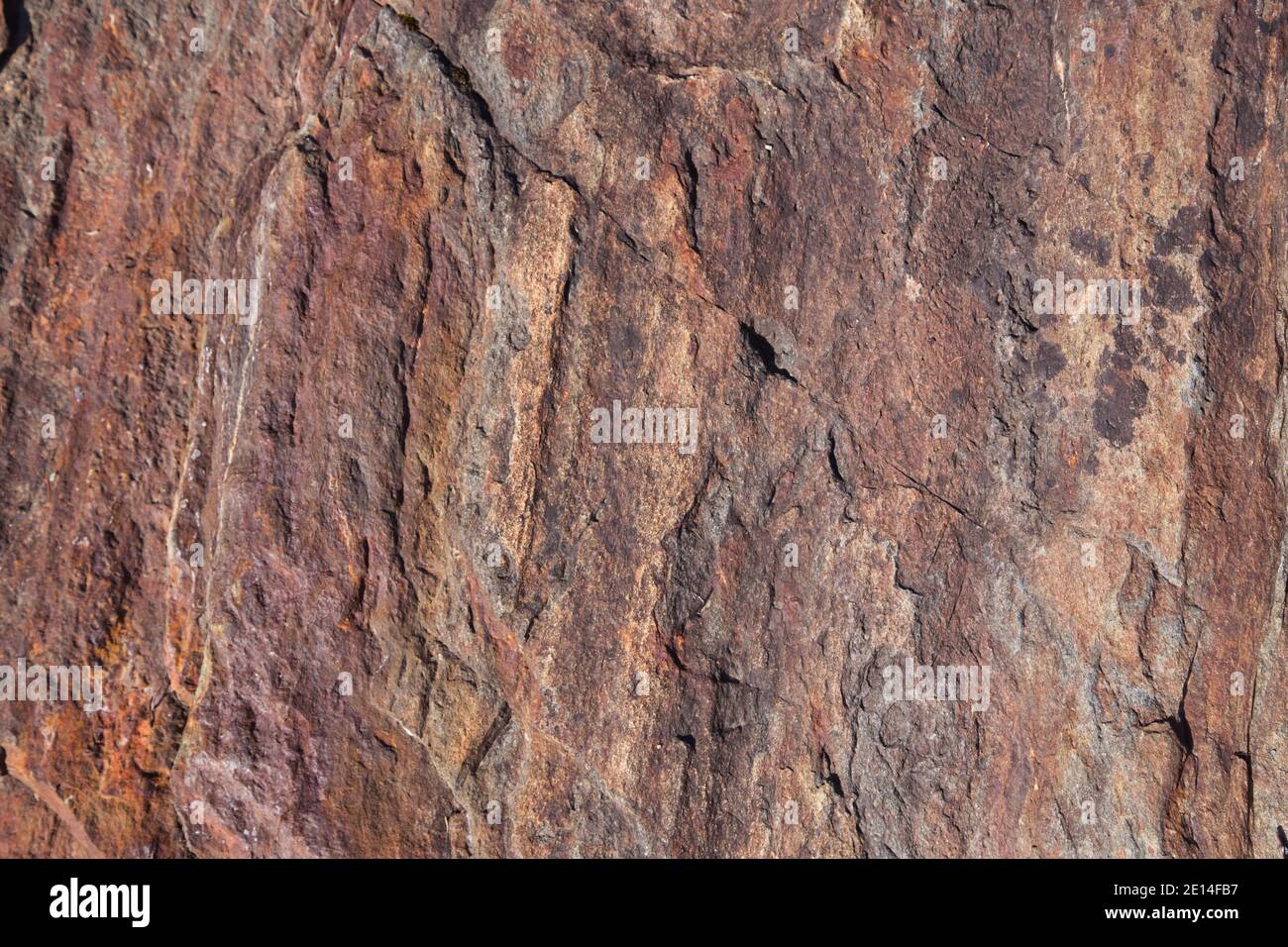 the texture of a red rock Stock Photo - Alamy